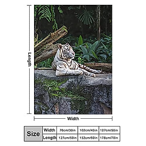 White Tiger Rest in Forest Throw Blanket for Couch Bed Flannel Lap Blanket Lightweight Cozy Plush Blanket for All Seasons 50"x70"