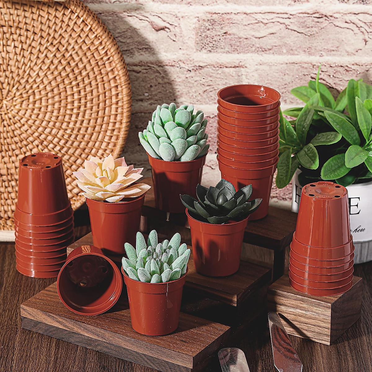 Yaomiao 200 Pcs 2 Inch Red Mini Plastic Plant Pot Nursery Seedling Pots Seed Starter with Drainage Holes for Indoor Outdoor Garden Succulent Plants Cuttings Transplanting