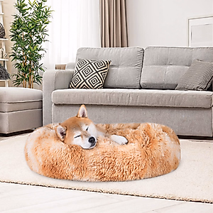 VIVAGLORY Plush Dog Bed, Fluffy Pet Bed, Self-Warming Dog Cat Calming Bed with Removable Middle mat, Suitable for Cat & Tiny Dog, Gradient-Beige