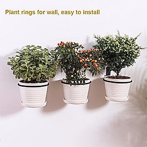 AYSUM 8 Inch Flower Pot Holder Ring 6 Pack Wall Mounted Plant Holder Ring Metal Black Hanging Basket Bracket for Home Garden Indoor Outdoor Plants Planters