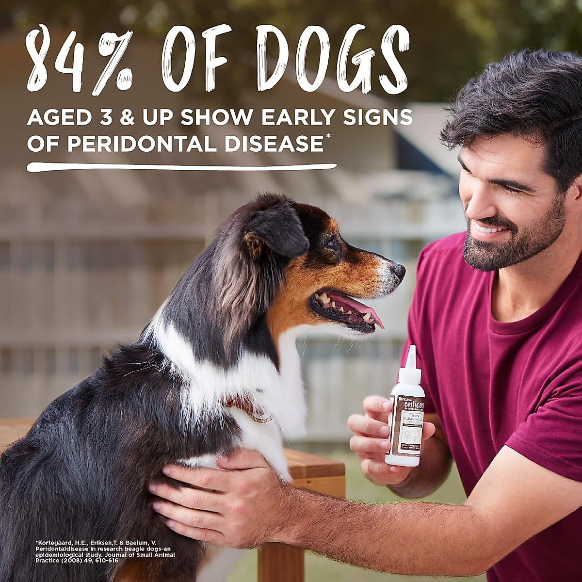 TropiClean Enticers Kong Dental Ball Kit for Medium Dogs | Teeth Cleaning Gel | Smoked Beef Brisket Flavor | 1 oz.