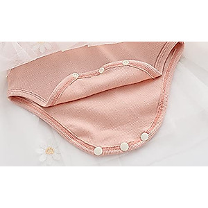 Toddler Baby Girls Dresses Infant Flower Embroidery Tulle Dresses Long Sleeve Newbron Baby Girls Clothes Outfit, 12-18M