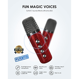 FULLIFE Karaoke Machine, Portable Bluetooth Karaoke Speaker with 2 Wireless Microphones for Adults & Kids, PA System with LED Light, Home Karaoke Set, Supports TF/AUX/USB, for Parties, Meetings