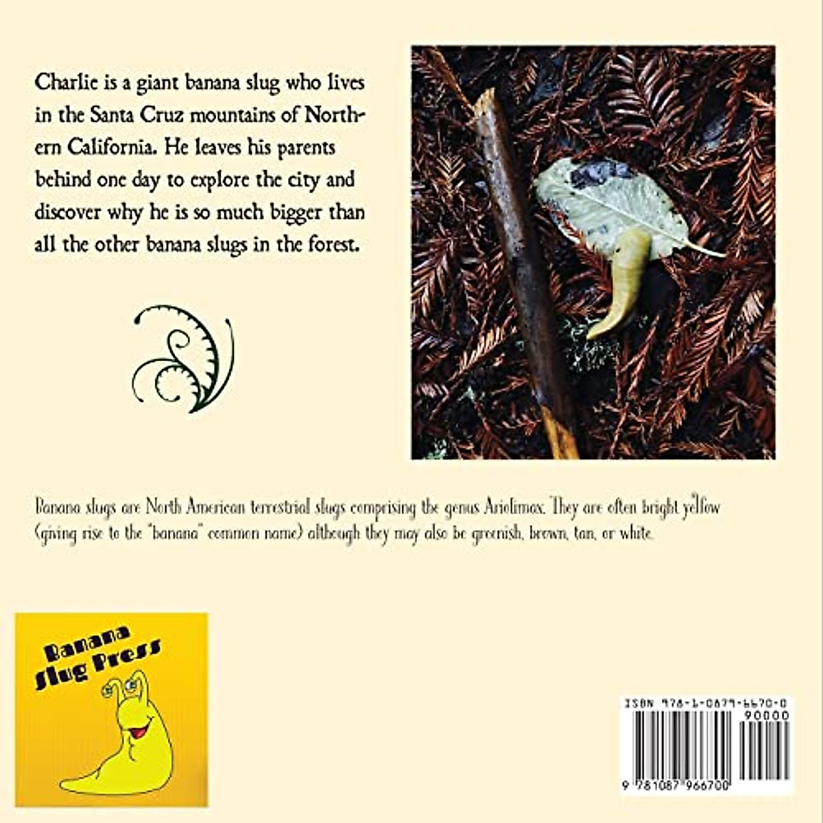 Charlie - The Giant Banana Slug