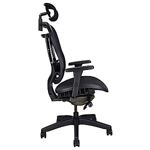 Oak Hollow Furniture Aloria Series Office Chair Ergonomic Executive Computer Chair Mesh Seat and Backrest, Adjustable and Comfortable, Lumbar Support Swivel and Tilt (Headrest, Black)