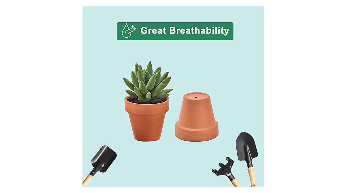 48 Pcs Tiny Terracotta Pots for Succulents & Crafts