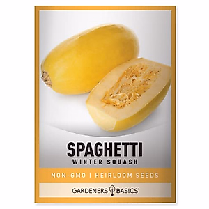 Spaghetti Squash Seeds for Planting - Winter Squash Heirloom, Non-GMO Vegetable Squash Variety- 3 Grams Seeds Great for Summer Garden by Gardeners Basics