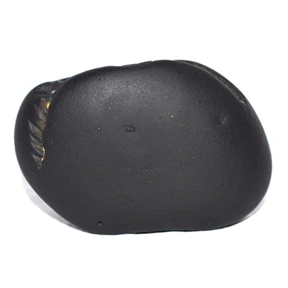 Rudrakshguru Laxmi Narasimha Shaligram - Gandaki River Nepal