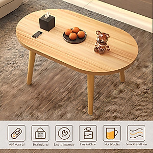 Funecy Small Coffee Table Low Table Solid Wood Sturdy Floor Table Desk for Sitting on The Floor, Storage and Living Room Furniture，Natural Wood，24inch (Round Wood, 24 * 16inch)