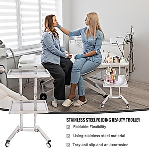 Stainless Steel Salon Cart,Stainless Steel Rolling Cart | Modern Simple Pallet Design Utility Cart on Wheels for Living Room, Bathroom, Kitchen, Bedroom