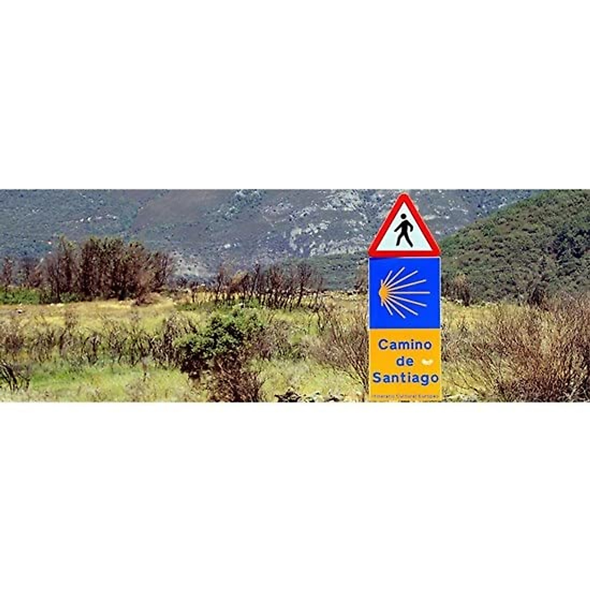 CafePress El Camino De Santiago De Compostela, Spain, S Mugs Ceramic Coffee Mug, Tea Cup 11 oz