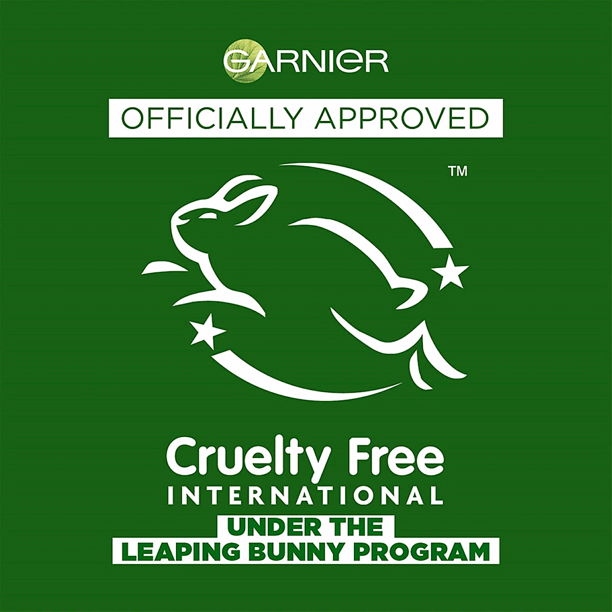 Garnier Fructis Style Curl Treat Defining Smoothie for Fine to Normal Curly Hair, 10.5 Ounce Jar