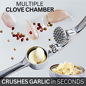 Premium Garlic Press Set - Easy to Squeeze Ergonomic Handle Garlic Crusher - Rust Proof & Dishwasher Safe Garlic Mincer Tool, Garlic Press Stainless Steel, Garlic Peeler & Brush (Chrome Silver)