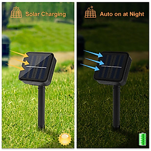 BLOOMWIN Solar String Lights, 30 LED Outdoor Waterproof Simulation Honey Bees Decor, 21.3ft 8 Modes Fairy Lights Hanging Decorative for Garden,Christmas, Patio Yard, Party, Warm White