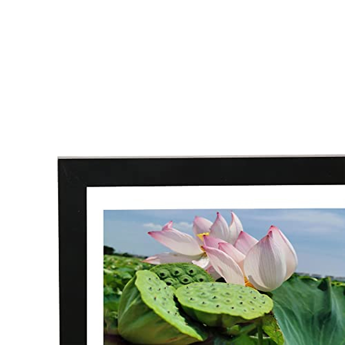 Aynoo 8x16 Picture Frame Load Three 4.5x6.5 （For 5x7 inch）Picture Frame in Black Wooden 8x16 Collage Black Picture Frame Multiple Three 4.5x6.5 (5x7) Pictures or 8x16 without Mat 8x16 Wood Picture Frame