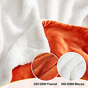 NICETOWN Fall Blanket Sherpa Fleece Throw Blanket for Couch, Winter Warm Fuzzy Soft Blankets and Throws for Sofa, Velvet Reversible Luxurious Blanket for Home/Bed/Kids,50 inches x 60 inches, Orange