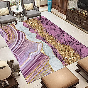 Jiospet Marble Rug Soft Marble Rugs for Living Room Gold Area Rug for Bedroom Aesthetic Rugs for Bedroom Living Room Space Decoration, (Pink, 4'×5')