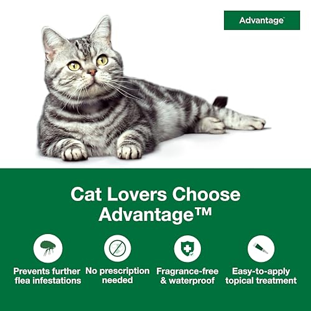 Advantage Topical Cat Flea Treatment and Prevention for Large Cats Over 9 lbs. | Apply Flea Drops Monthly | 2 Treatments