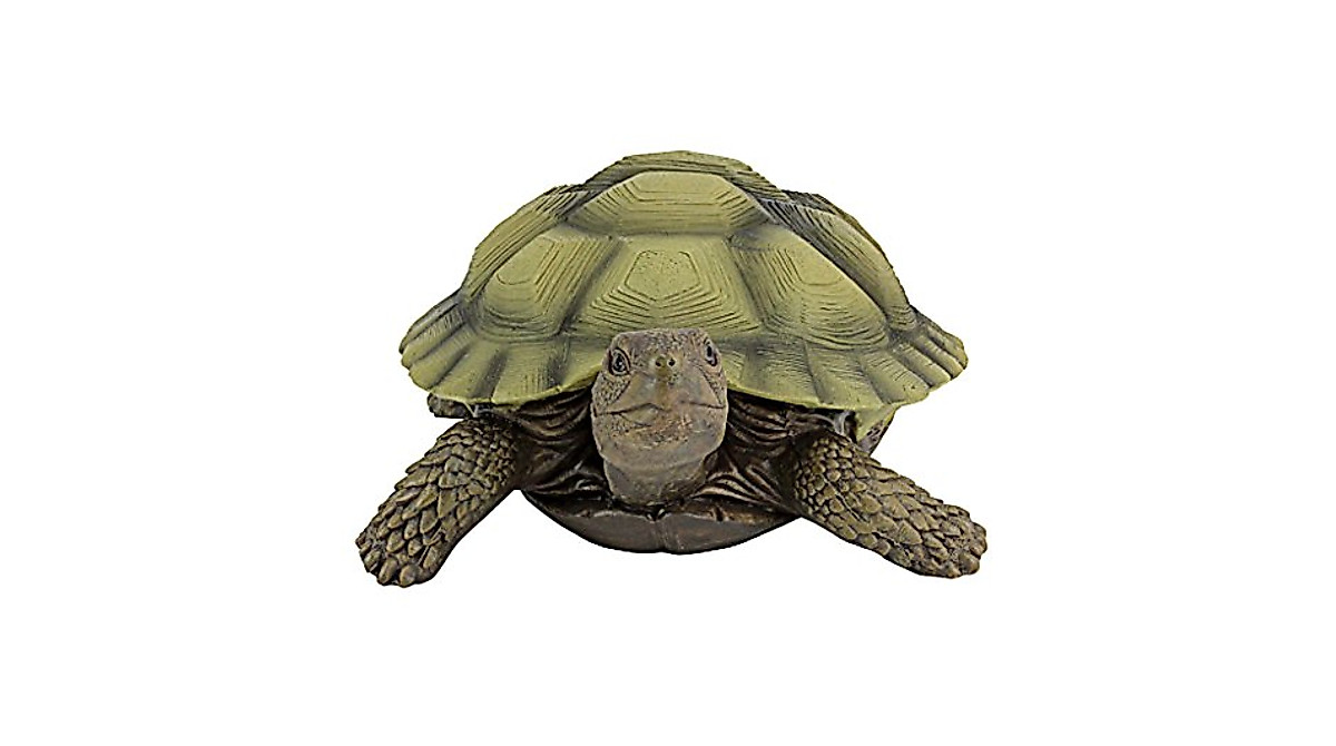 Design Toscano Gilbert Box Turtle Garden Statue - Hand-Painted Decor