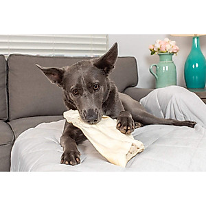 Barking Buddha Original Large Cow Ears for Dogs - Safe All Natural Premium Grade Rawhide Alternative Chews - Individually Wrapped Treats | Natural Beef 20 Pack