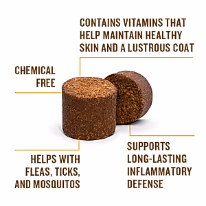 VetIQ Flea & Tick Support for Dogs, Flea and Tick Chewable for Dogs, Supports Dog's Natural Flea Defenses, Free of Added Chemicals and Garlic, Hickory Smoke Flavor, 60 Count