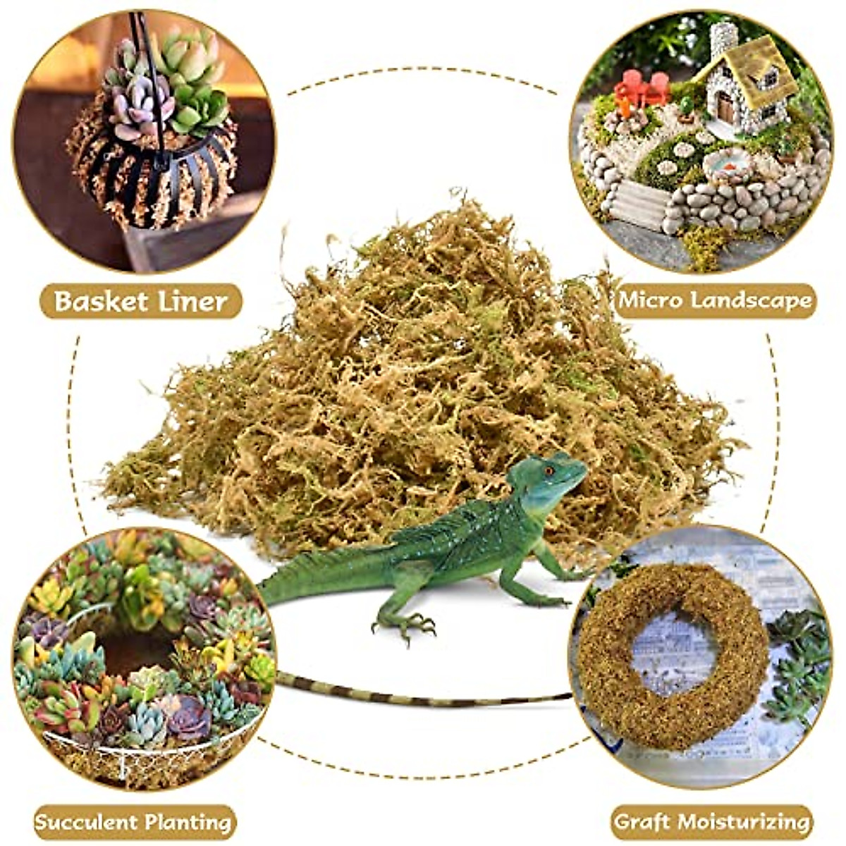 ZeeDix 2QT Dried Moss for Potted Plants Terrarium Decor Plant Natural Sphagnum Moss Potting Mix Soil for Carnivorous Plant, Orchid, Sarracenia, Succulent, Reptiles