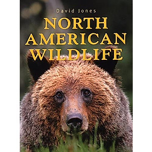 North American Wildlife