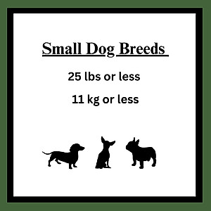 AccessiPets Dog Chews Bundles for Small Dogs, 2.5 Inch Rawhide Free Alternative Retriever Rolls Bundle with 1 Dog Waste Roll, Long-Lasting Dental Treats (Chicken, 6 Count)