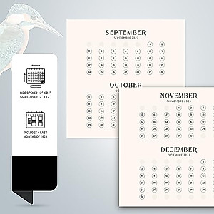 Wall Calendar 2024 12" x 12" FSC® Plastic Free - Starts Week On Sunday | Square Wall Calendar 2024 | Family Planner Calendar 2024 | 2024 Calendar (Birds 2024)