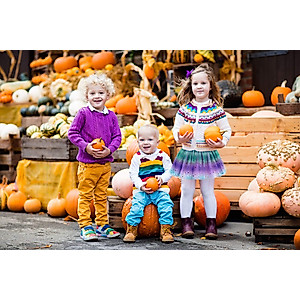 Girls Tutu Skirt 2 Pack Tutus for Girls Rainbow Ballet Tutu Toddler Tutu Skirt for 6-18 Months, Pink+Purple