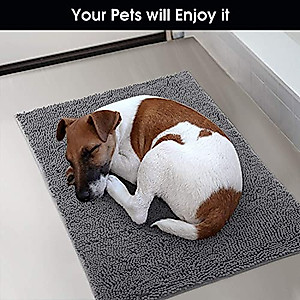 HOMEIDEAS Absorbent Chenille Door Mat Indoor, 20“x32”, Dirt Trapper Machine Washable Non Slip Throw Rugs for Entryway, Entrance, Mud Room, Thick Welcome Doormat, Grey