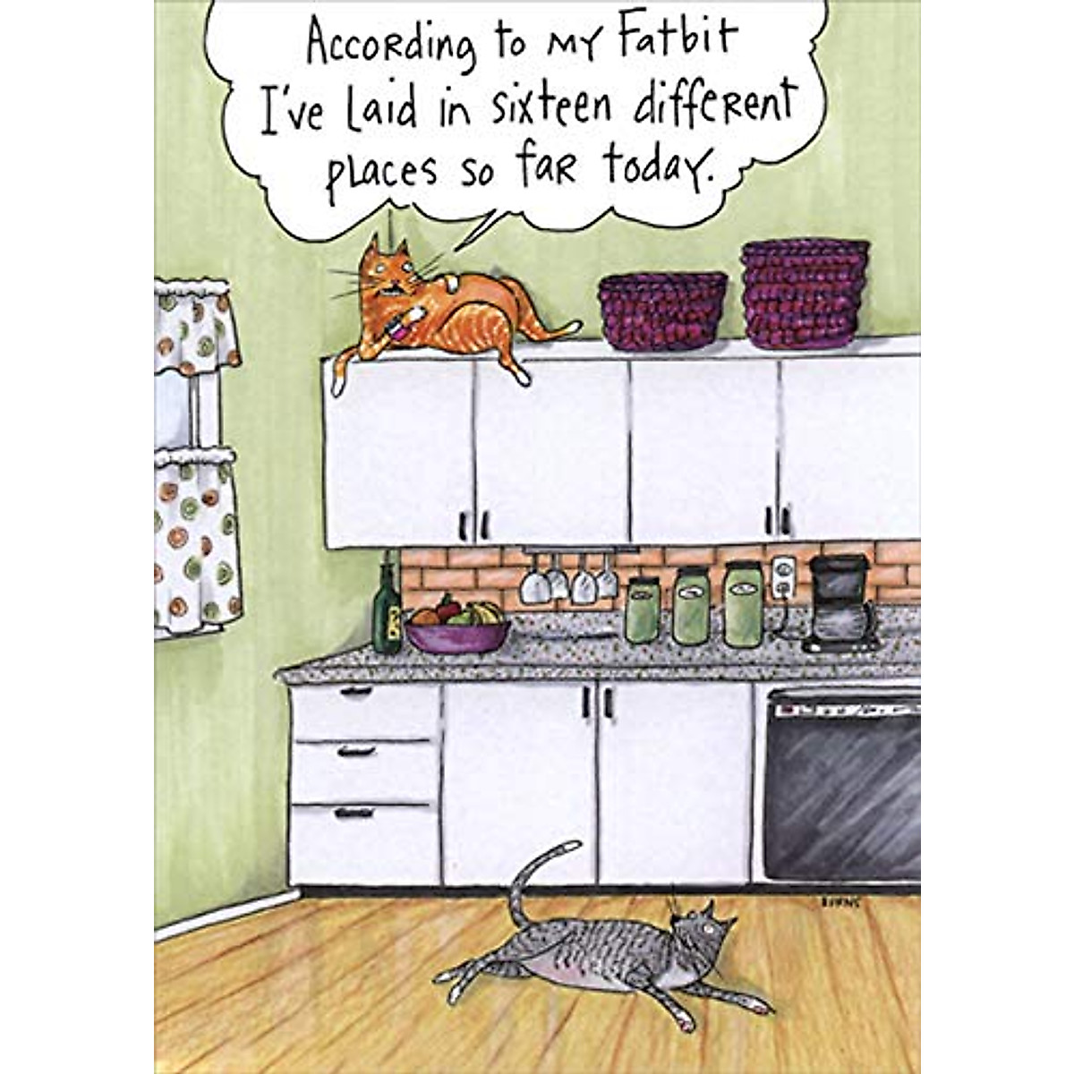 Oatmeal Studios Two Cats in Kitchen Funny/Humorous Birthday Card