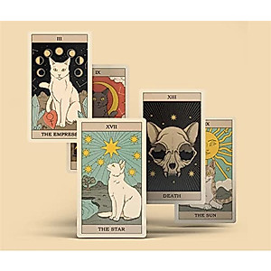 Cats Rule the Earth Tarot: 78-Card Deck and Guidebook for the Feline-Obsessed