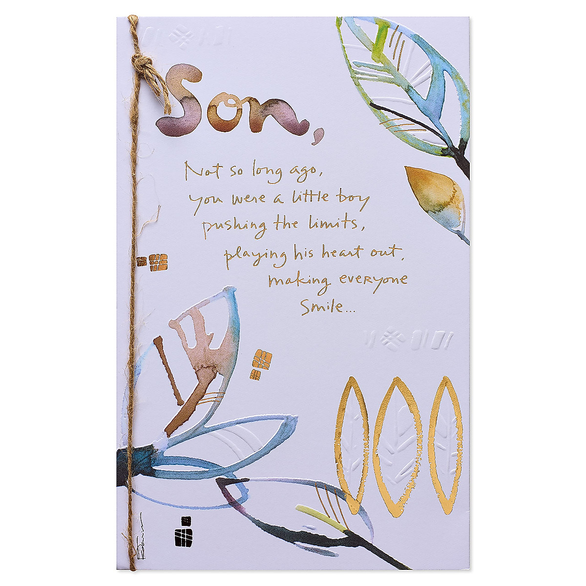 American Greetings Birthday Card for Son (Not Much Has Changed)