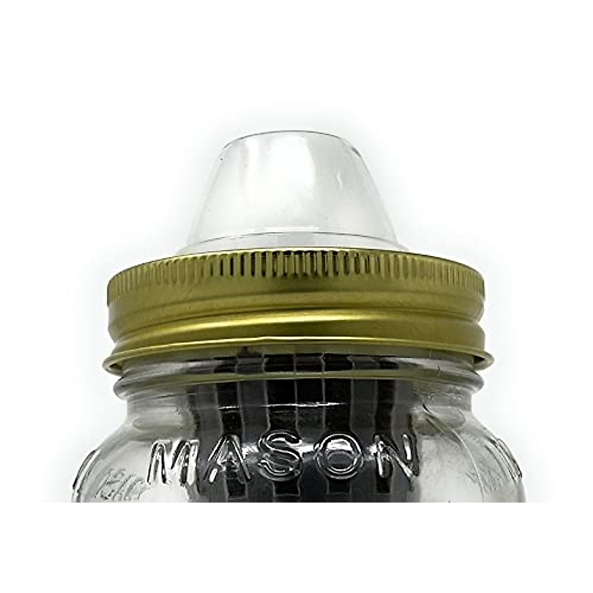 Curly Parsley Herb Growing Kit by Hydrohort | Growing Parsley Seeds is Easy with Our Mason Jar Herb Garden Starter Kit | Parsley Seeds for Planting are Perfect in Our Herb Kit