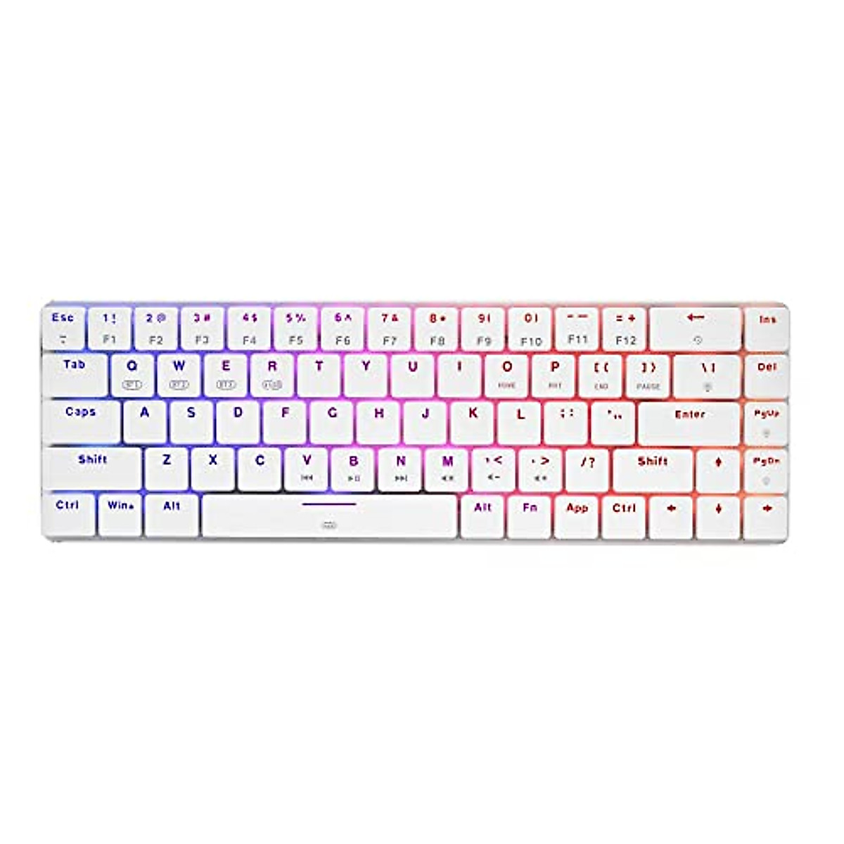 HUO JI 60% Compact RGB Wireless Mechanical Gaming Keyboard, Blue Switches, Bluetooth 5.0, Wired Keyboard 69 Keys for PC Tablet Laptop Cell Phone, White