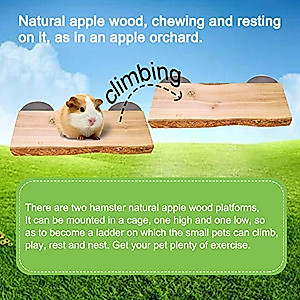 Chinchilla Wood Ledge 2Pcs Natural Wooden Shelf Standing Platform Chew Toys for Hamster Rat Guinea Pig Mouse Bird 2.6" x 5.9"