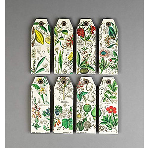 Flowers: Paper Craft Book with Cards, Envelopes, Stickers, Tags & Colouring Sheets (Multilingual Edition) (English, Spanish, French and German Edition)