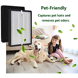 Nyingchi GL-FS32 Replacement Filter, Compatible with MOOKA®/KOIOS GL-FS32 and Azeus GL-FS32 Air Purifier, H13 True HEPA 3-in-1 Activated Carbon Filtration System,2 Pack