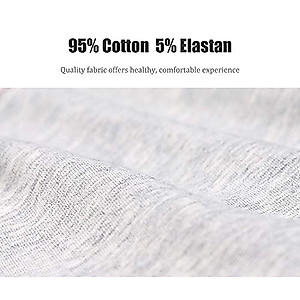 LYYTHAVON Women’s Underwear Soft Breathable Cotton Brief Ladies Panties 5-Pack (Multicolored F,5 Pack, Medium)