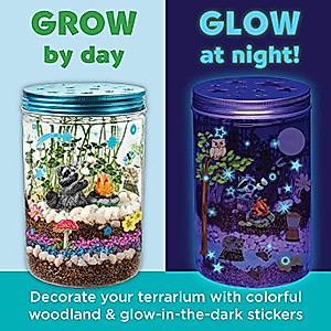 Creativity for Kids Grow 'N Glow Terrarium Kit for Kids - Educational Science Kits Ages 6-8+, Kids Gifts for Boys and Girls, Craft and STEM Projects
