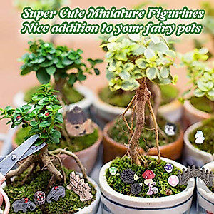 TCJJ 51 Pieces Miniature Fairy Garden Accessories, Fairy Garden Kit, Miniature Figurines Fairy Garden Supplies DIY Micro Landscape Ornaments for Garden Dollhouse Potted Plant Bonsai Terrarium Decor