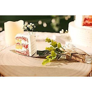 Joy Ceremony Wedding Cake Knife and Server Set, Rustic Cake Cutting and Serving Set - Bridal Cutter Set with Eucalyptus Leaves (White - 2'' Rose)