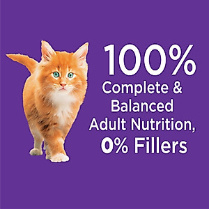 P L-RA IMS Proactive Health Healthy Kitten Dry Cat Food with Chicken, Omega-3 DHA, 100% Complete and Balanced Nutrition, 7 lb. Bag
