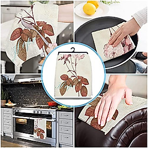 Big buy store Kitchen Towels Set of 2 Floral with Leaves Dish Towels and Dishcloths Sets Decorative Tea Towel Rustic Butterfly Absorbent Hand Towels for Kitchen Drying Bathroom Decor Gift 18x28 Inch