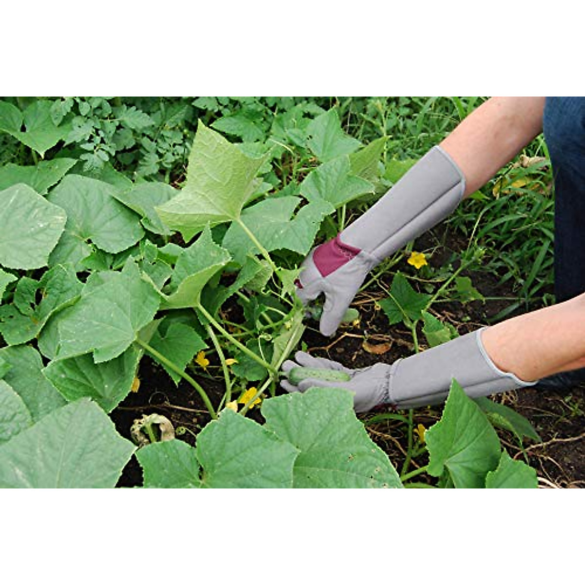 MAGID Professional Rose Pruning Thorn Proof Gardening Gloves with Extra Long Forearm Protection for Women (TE195T-S) - Puncture Resistant, Grey & Maroon, 6/XS (1 Pair)