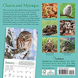 Audubon Little Owls Mini Wall Calendar 2021