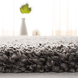 SAFAVIEH Royal Shag Collection 4' x 6' Dark Grey RYG115I Non-Shedding Living Room Bedroom Dining Room Entryway Plush 2-inch Thick Area Rug