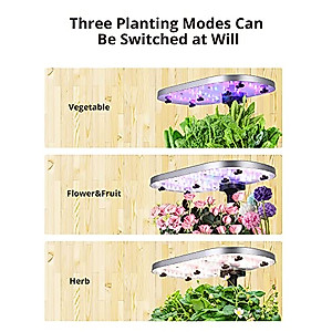 WiFi 12 Pods Hydroponics Growing System with APP Controlled, JustSmart Indoor Garden Up to 30" with 36W 120 LED Grow Light, Silent Pump System, Automatic Timer for Home Kitchen Gardening, GS1 Plus