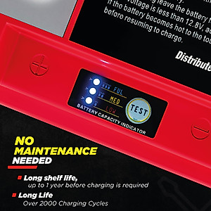 MMG YTZ14S Z14S Lithium Ion Sealed Factory Activated Powersports Battery 12V CCA 300 for Motorcycle BMW Honda KTM Yamaha (MMG4)